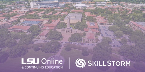 LSU Teams Up With SkillStorm to Provide Online Cyber Security ...